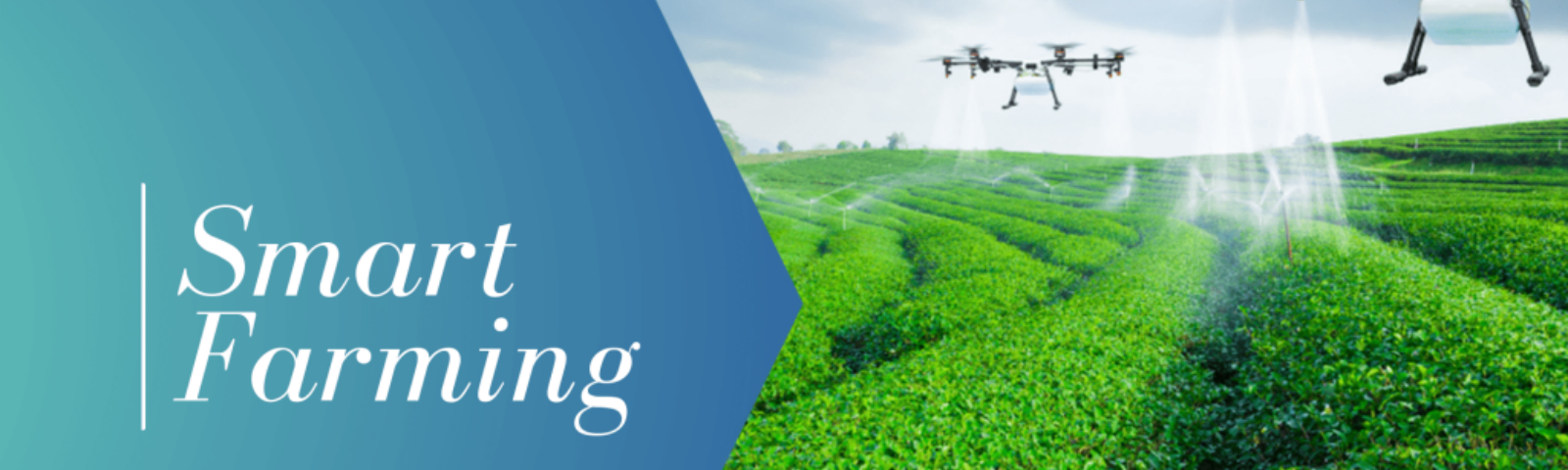 Hyper Seed Execution — Home